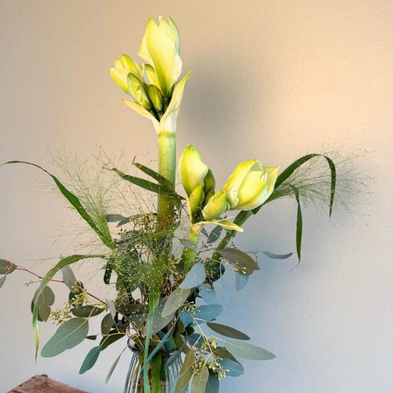 Inspiration til julekort tekst → send en glædelig jul hilsen